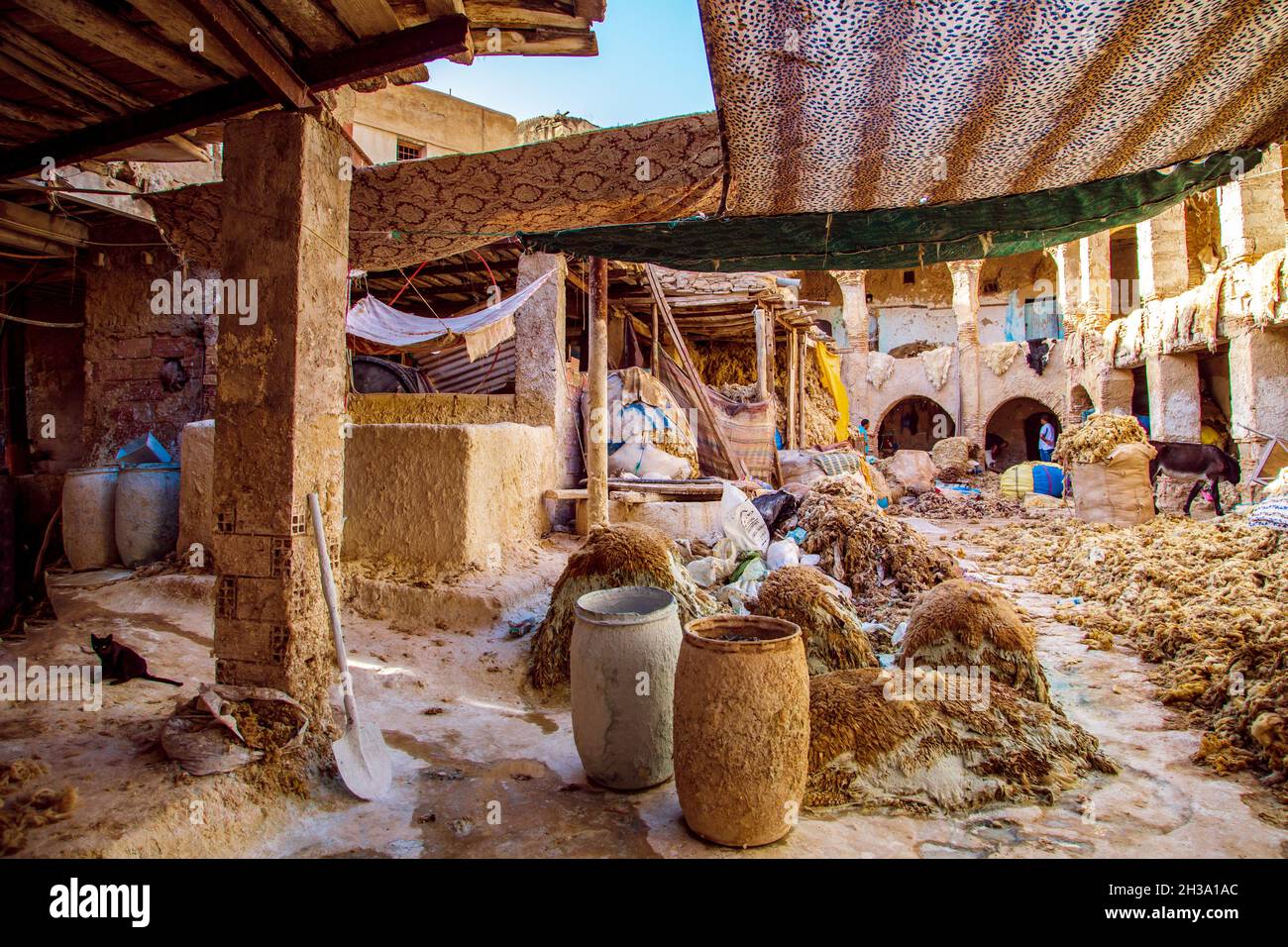 Processing of skins in the workshop. Fez, Morocco - September 14, 2019 ...