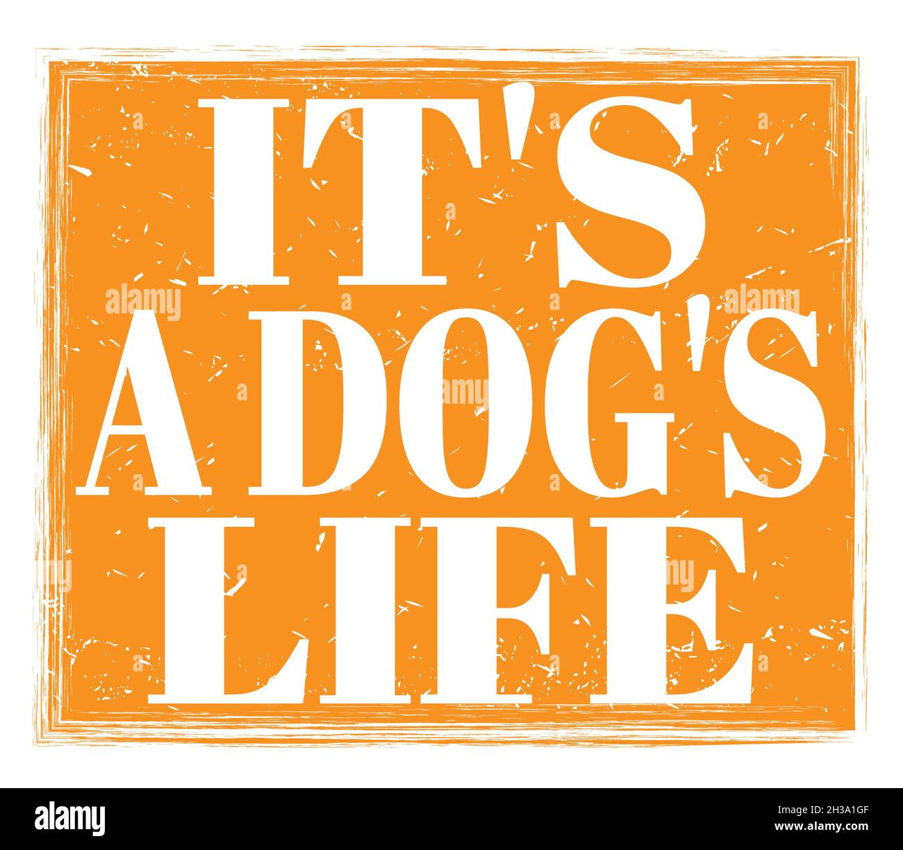 IT'S A DOG'S LIFE, written on orange grungy stamp sign Stock Photo - Alamy