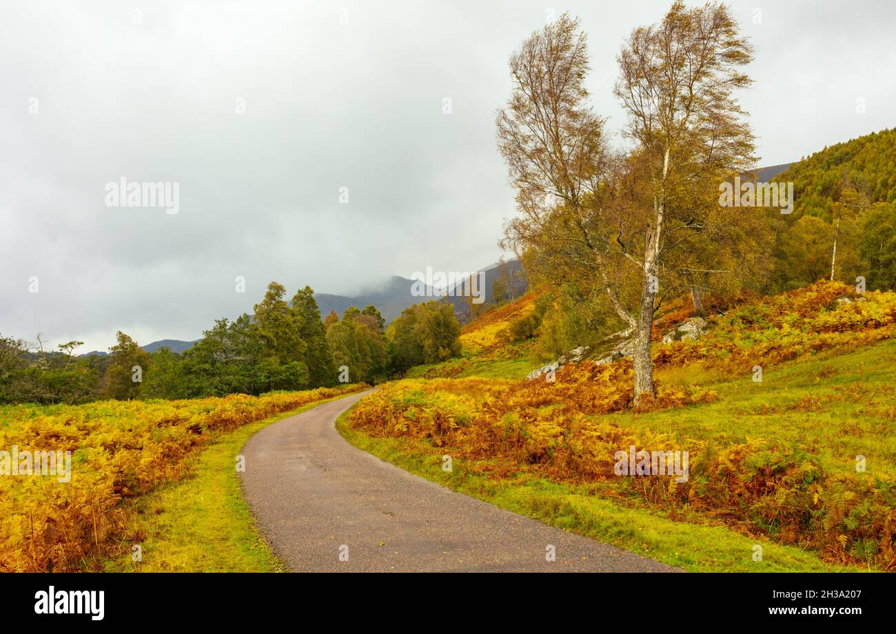 Glen Strathfarrar, Struy near Beauly, Scottish Highlands with colourful ...