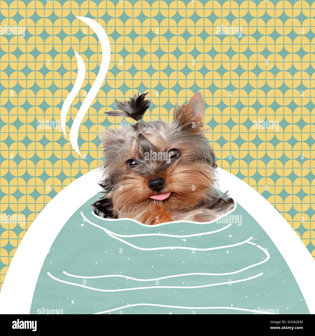 Contemporary art collage of cute Yorkshire Terrier dog bathing isolated ...