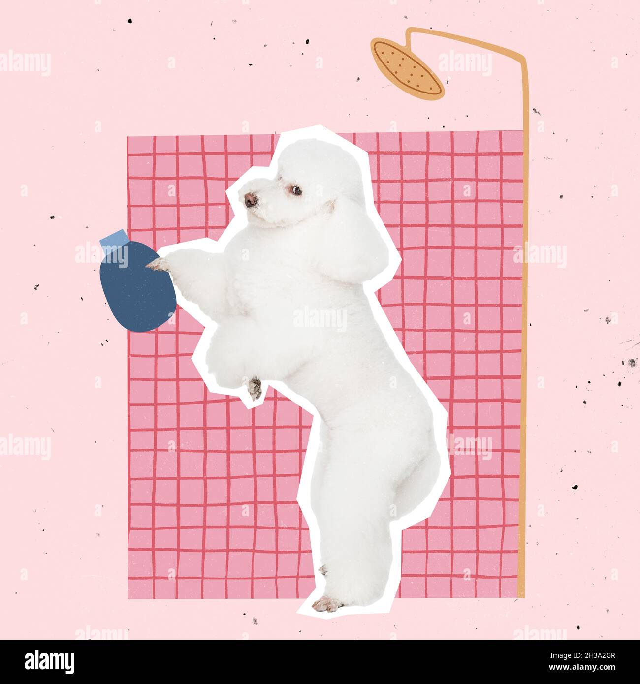 Contemporary art collage of cute, white poodle dog taking shower ...