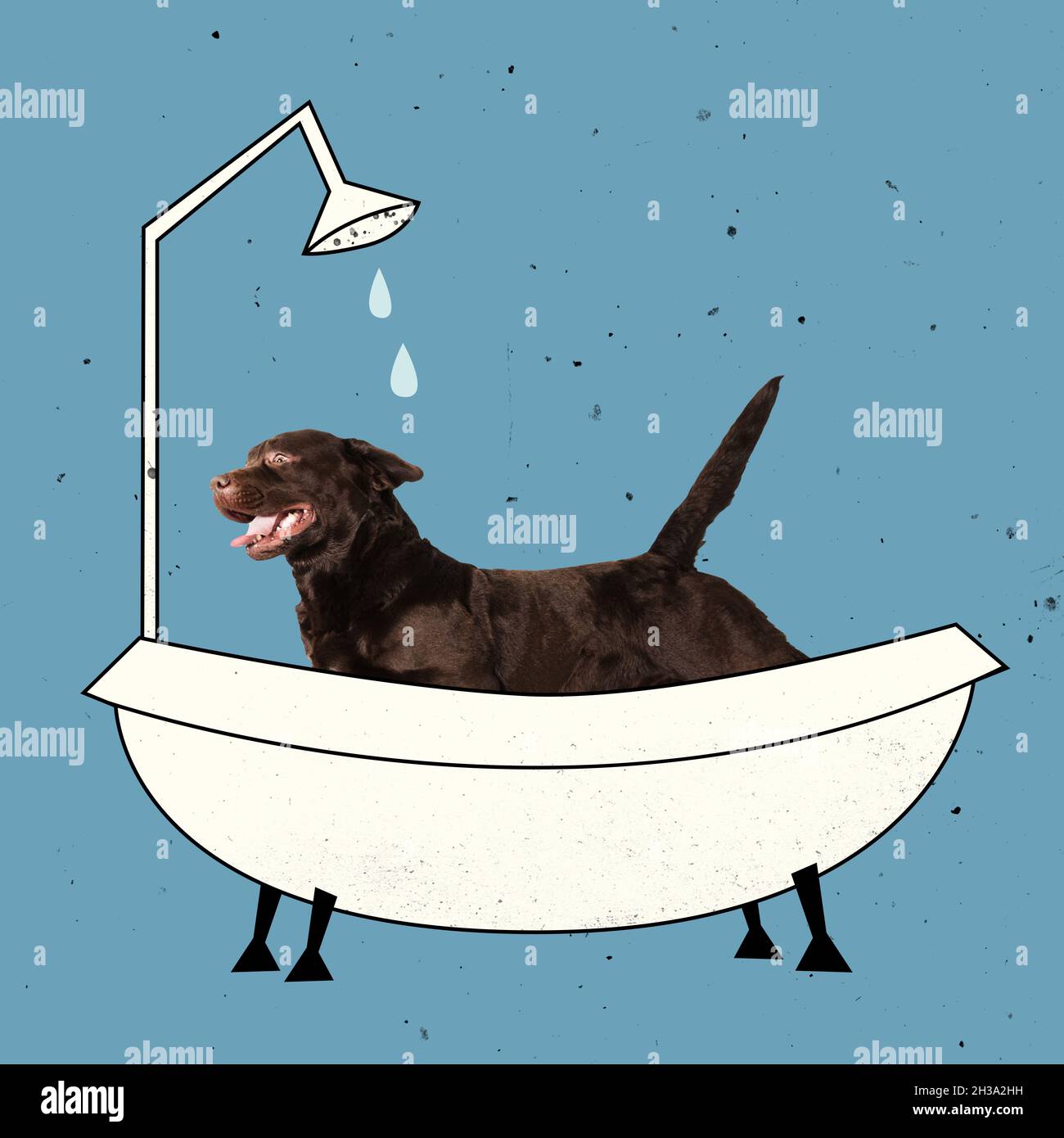 Contemporary art collage of cute Labrador dog, taking shower in ...