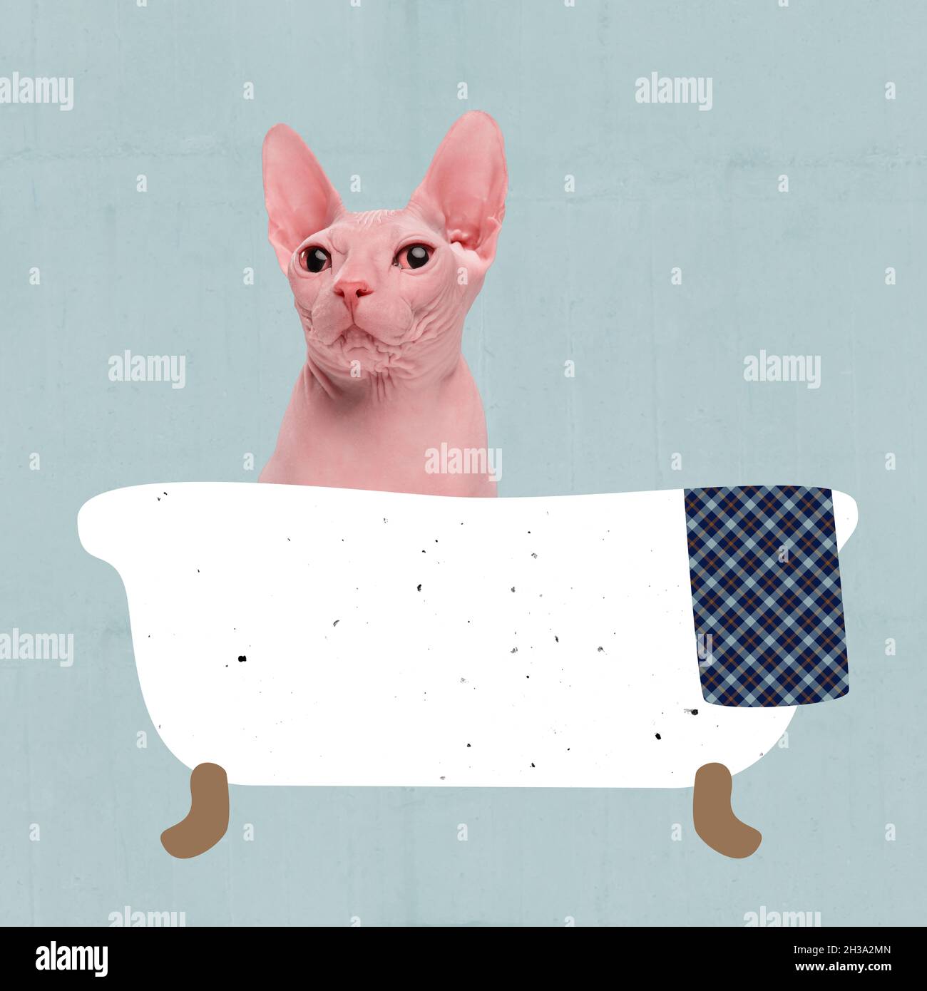 Contemporary art collage of cute sphinx cat bathing isolated over blue ...