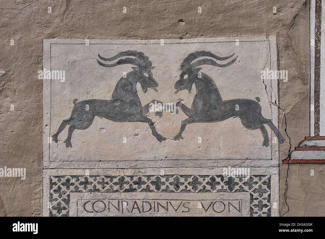 Two male Alpine ibexes or mountain goats paw the air. On the facade of ...
