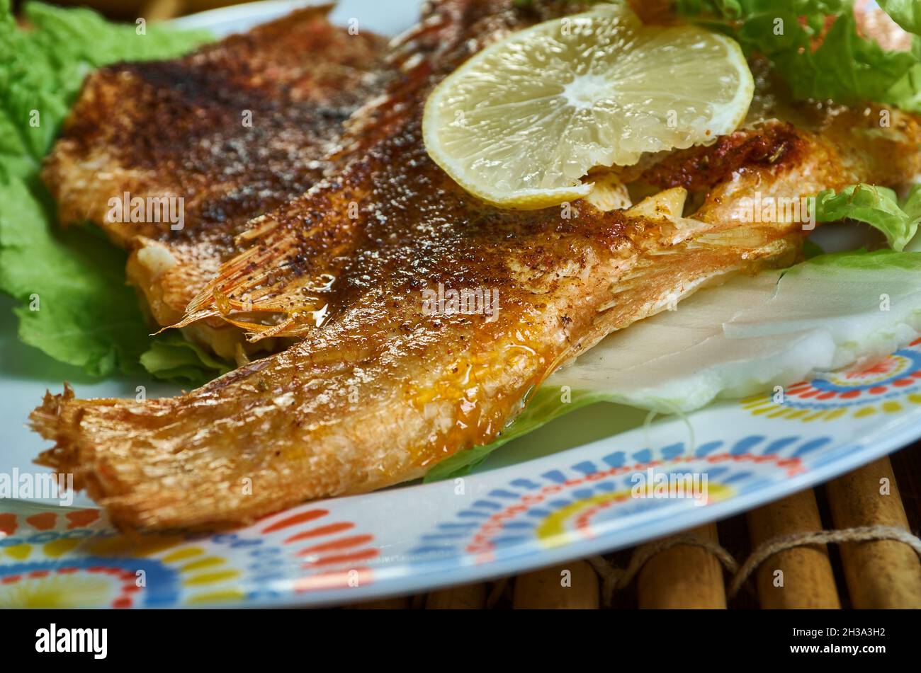 A pacu fish hi-res stock photography and images - Alamy