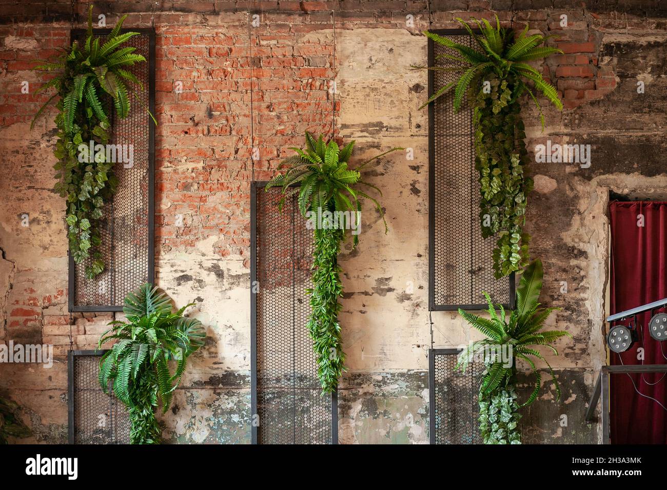 Artificial plants fern and ivy hang on an old ruined brick wall with a ...