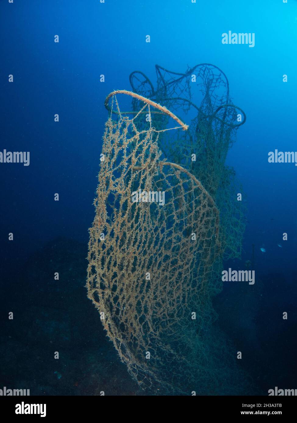 An old,abandoned fishing net lies on the seabed in dark, murky waters ...