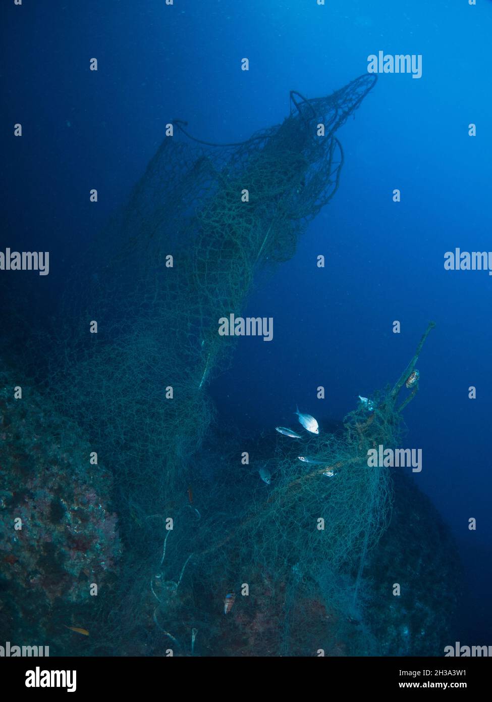 An old,abandoned fishing net lies on the seabed in dark, murky waters ...