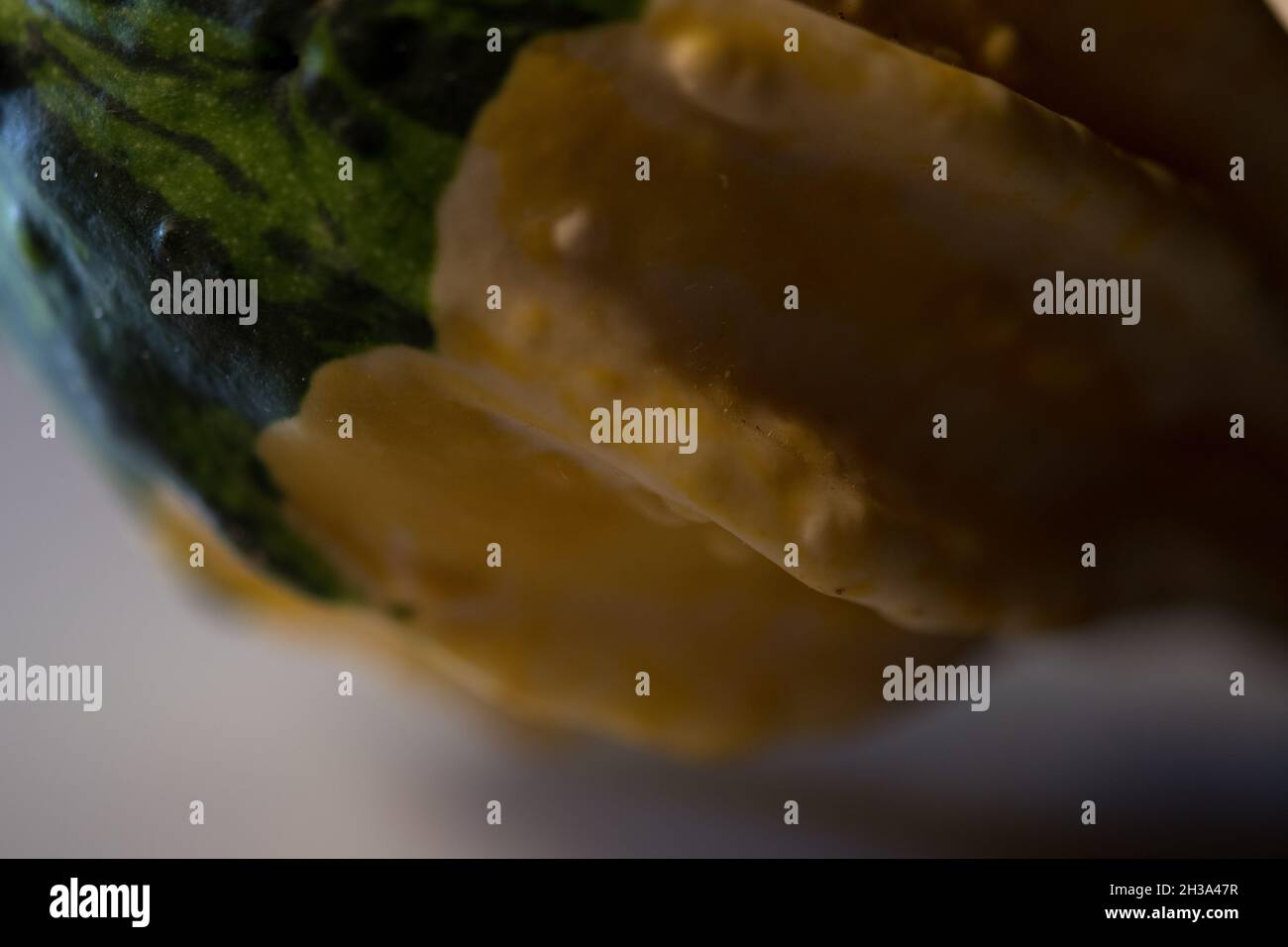 Yellow green gourd hi-res stock photography and images - Alamy