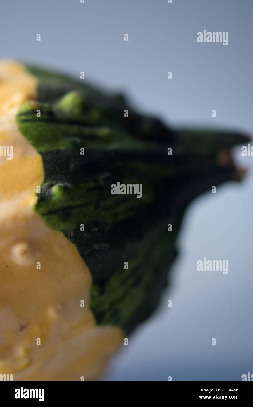 Yellow green gourd hi-res stock photography and images - Alamy