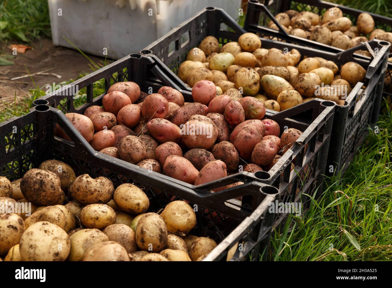 Field boxes stack hi-res stock photography and images - Alamy