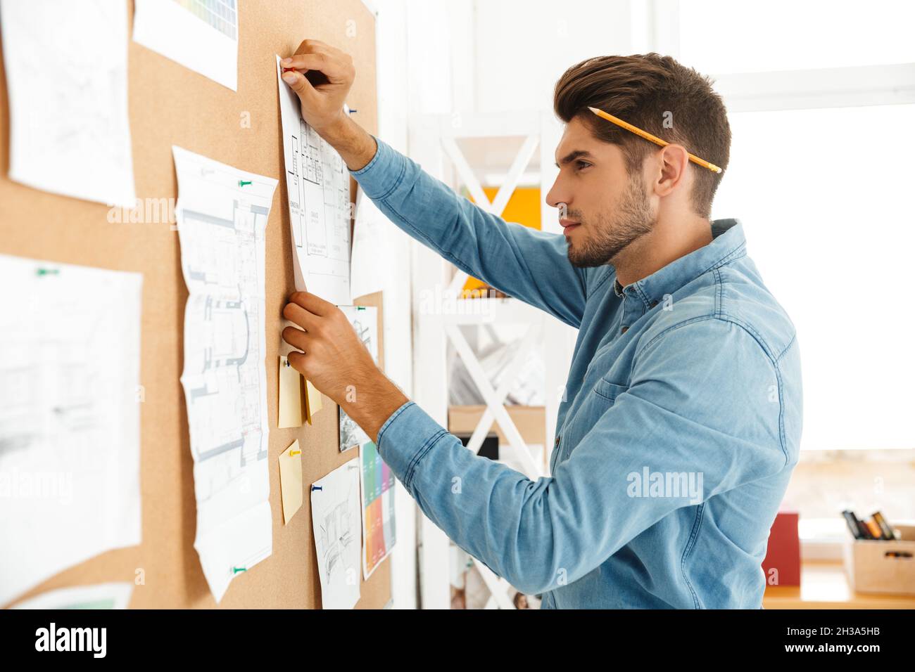 Young brunette architect pinning drawing on wall board while working in ...