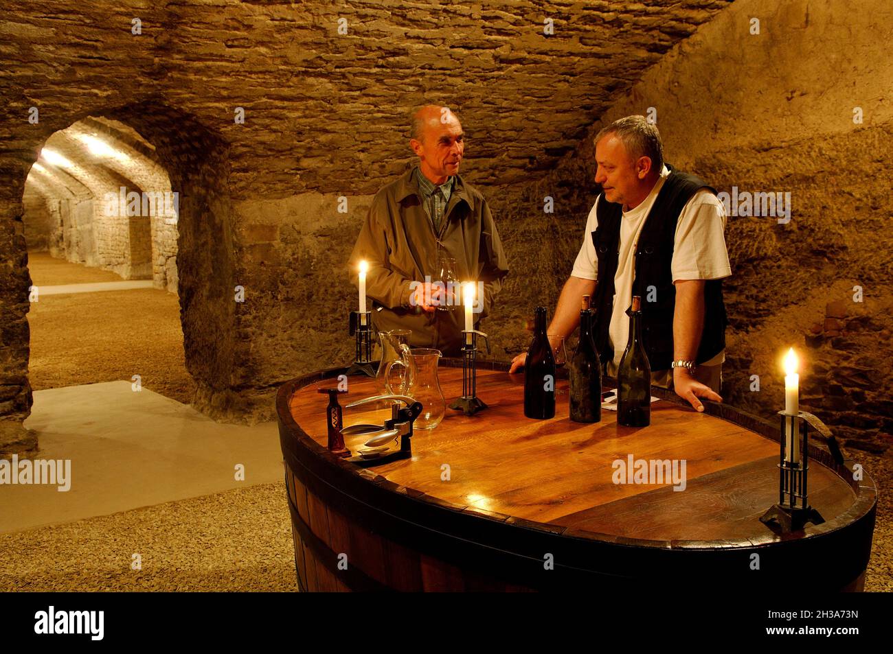 FRANCE. BURGUNDY REGION. COTE-D'OR (21) THE ROMANEE CONTI ESTATE. THE ...