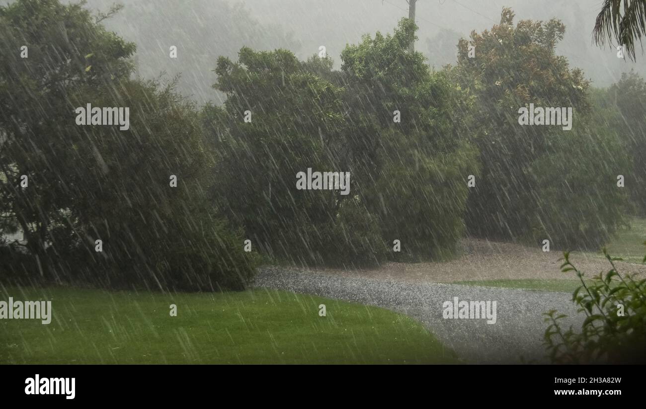 Summer garden during pouring rain hi-res stock photography and images ...