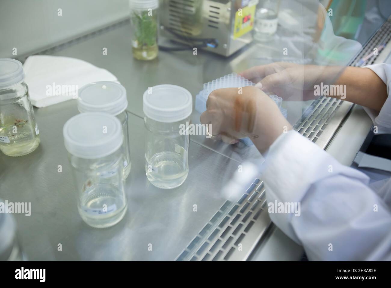 Production line pharmaceutical industry. Manufacturing of drugs and ...