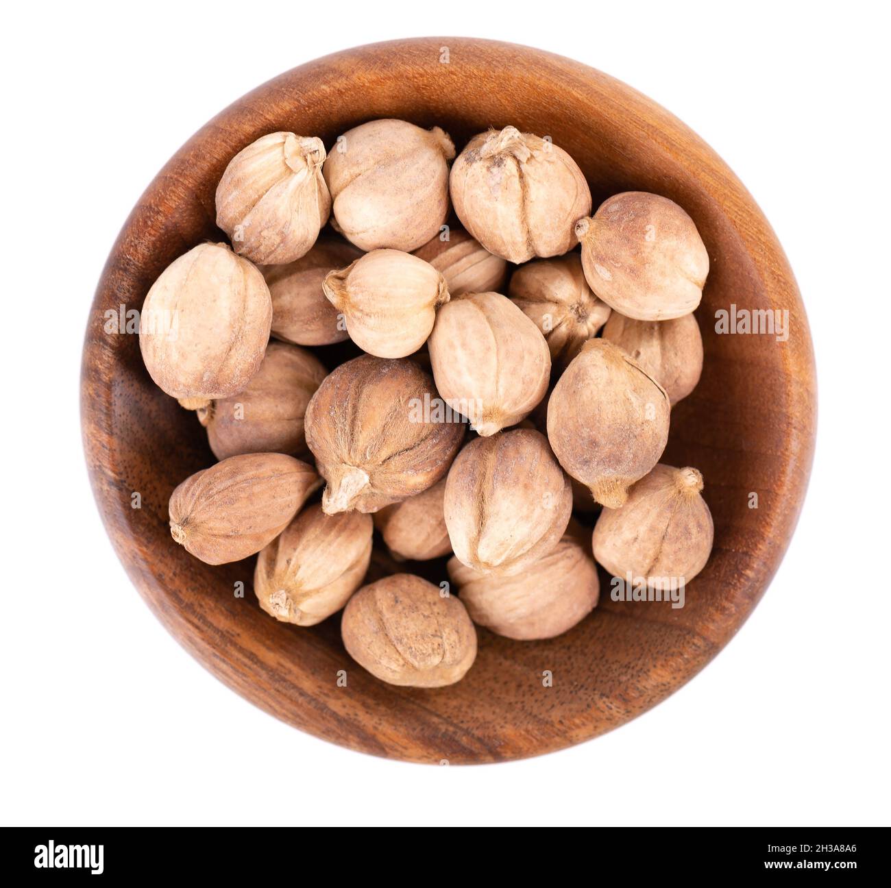 Heap of white cardamom pods in wooden bowl, isolated on white ...