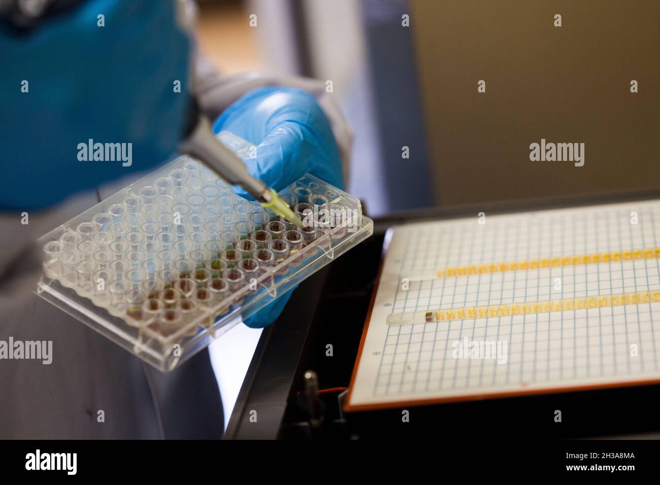 Production line pharmaceutical industry. Manufacturing of drugs and ...