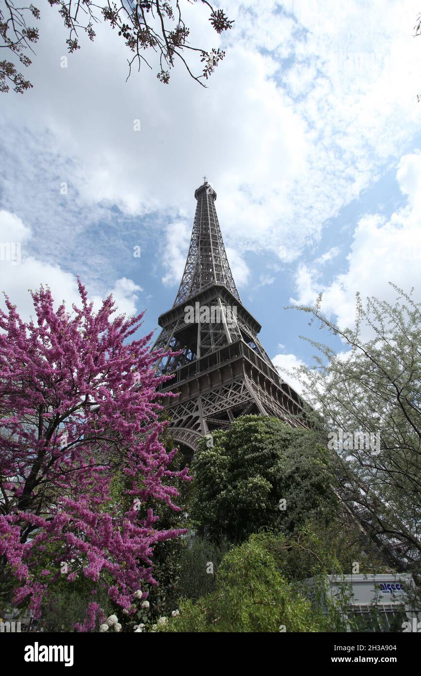 France, Paris, Eiffel tower, spring Stock Photo - Alamy