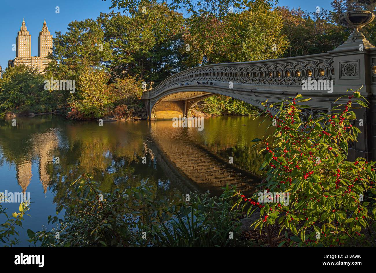 Bow bridge, Central Park, New York City Stock Photo - Alamy