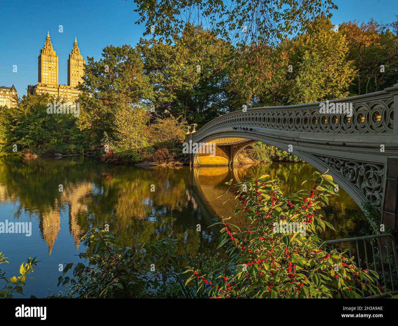 Bow bridge, Central Park, New York City Stock Photo - Alamy