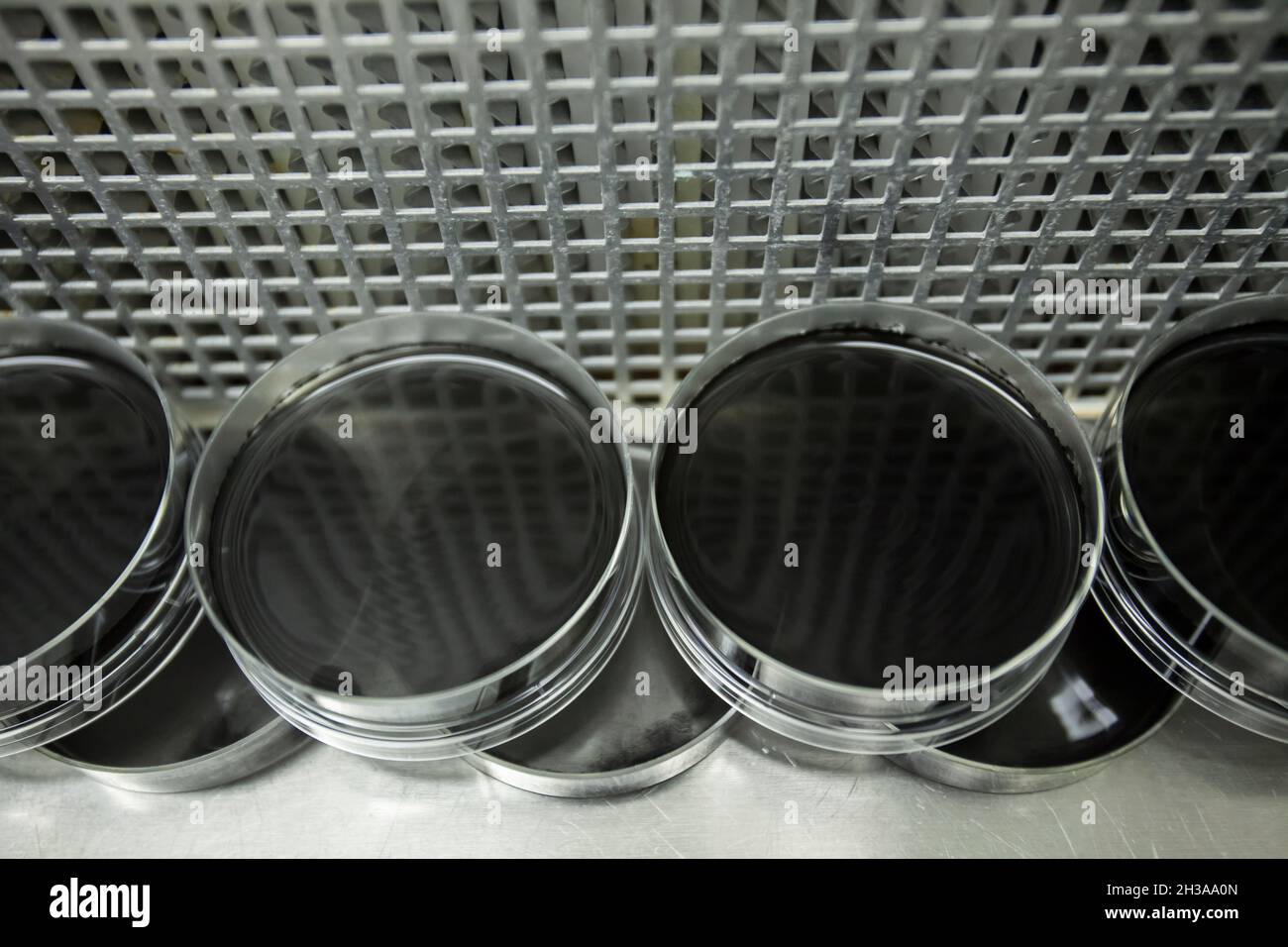 Production line pharmaceutical industry. Manufacturing of drugs and ...