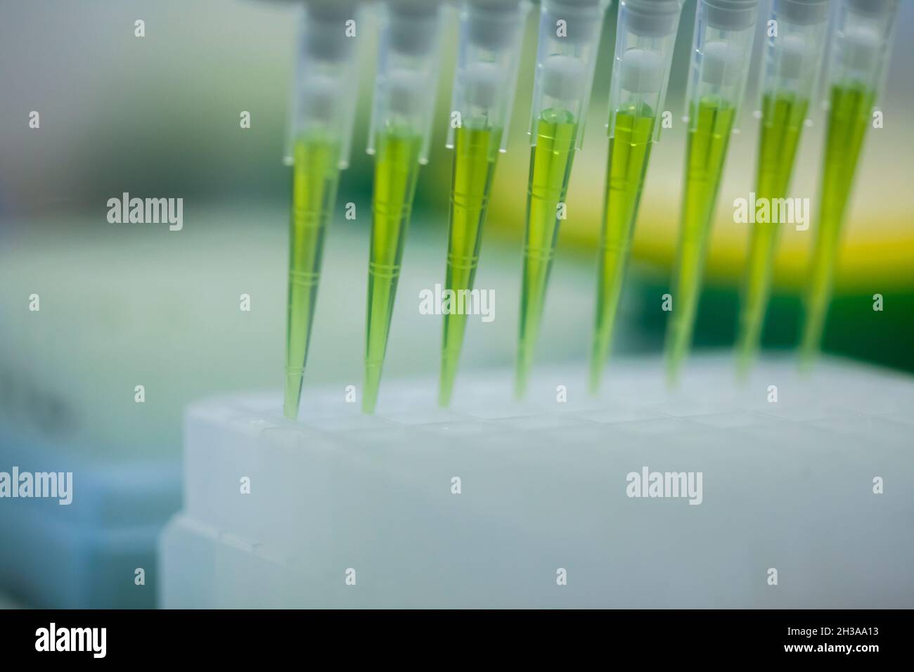 Production line pharmaceutical industry. Manufacturing of drugs and ...