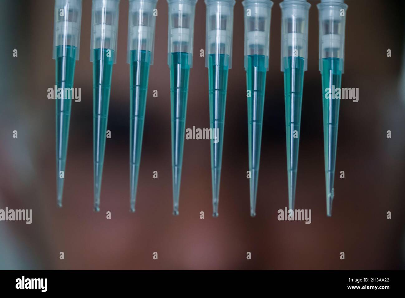 Production line pharmaceutical industry. Manufacturing of drugs and ...