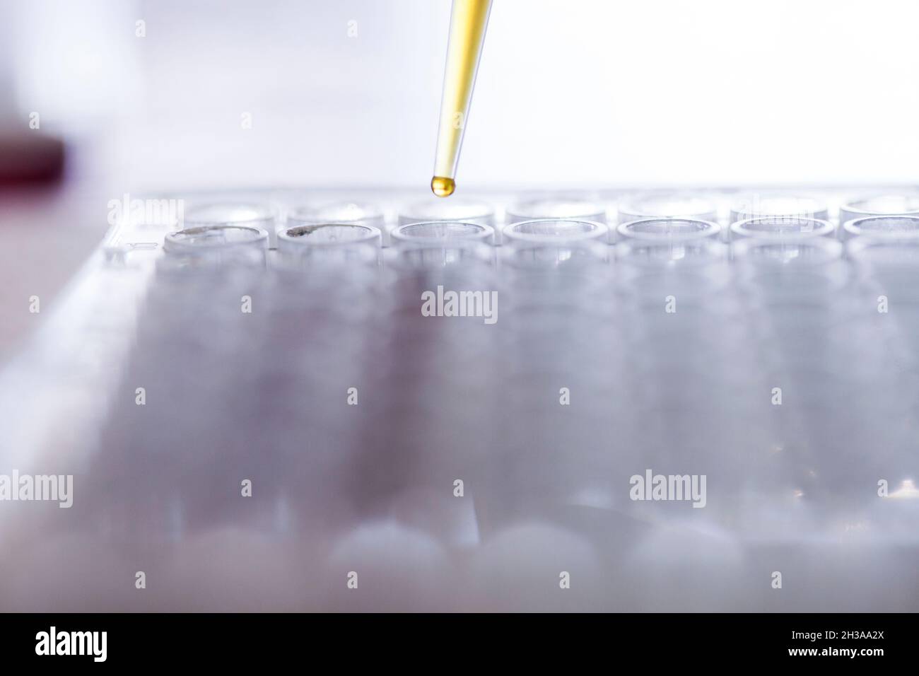 Production line pharmaceutical industry. Manufacturing of drugs and ...