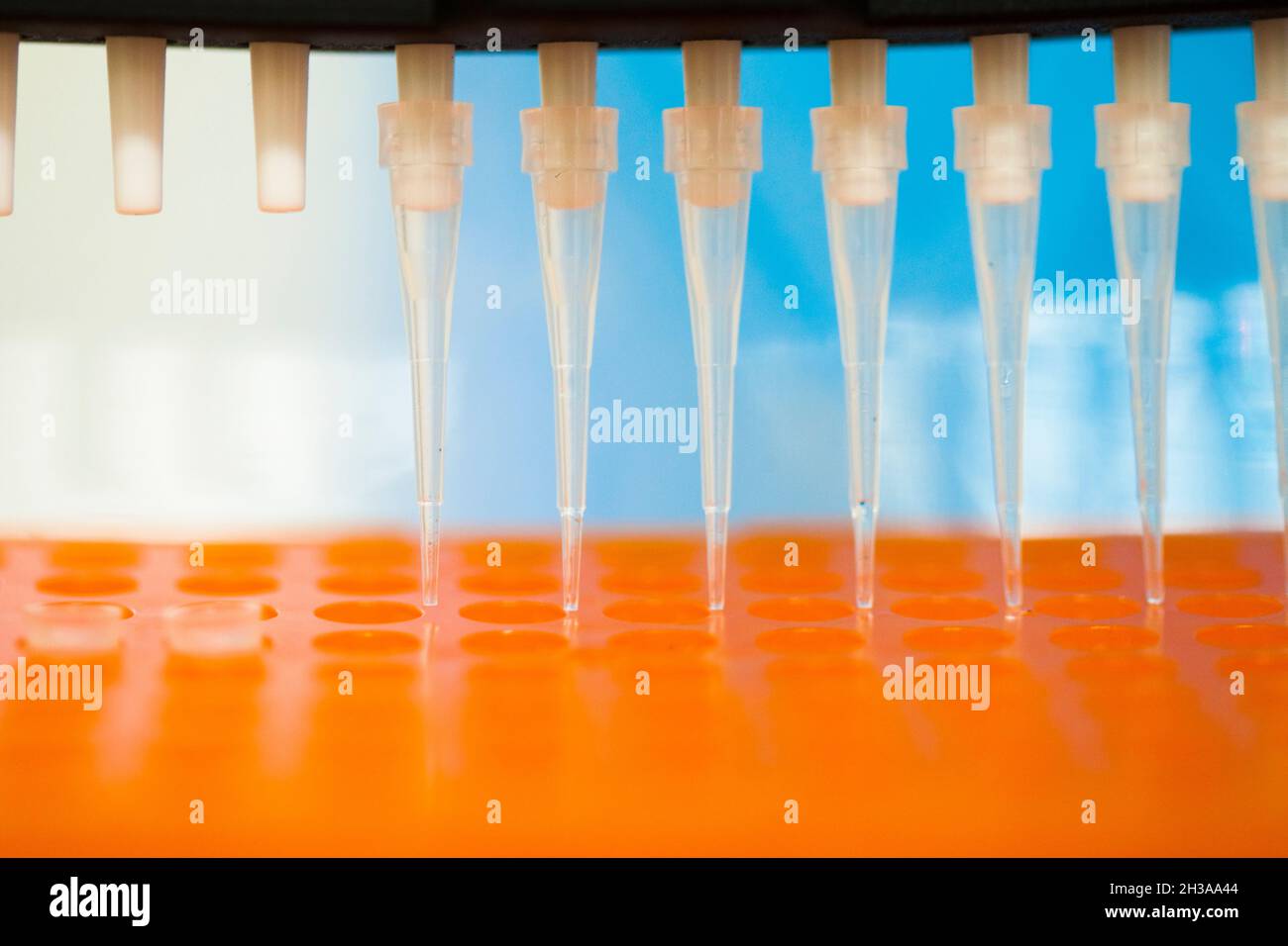 Production line pharmaceutical industry. Manufacturing of drugs and ...