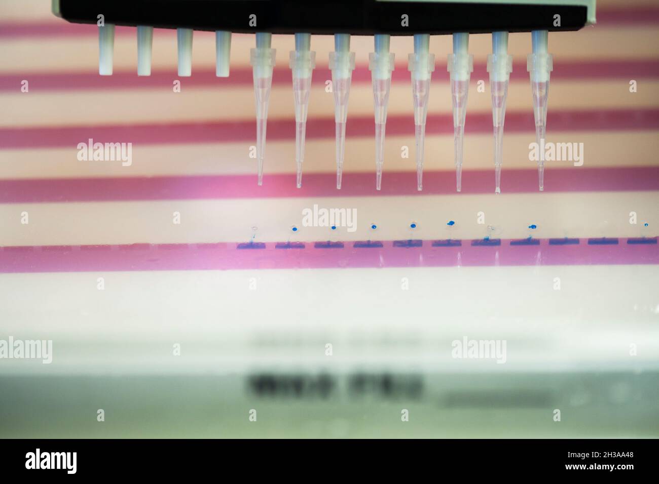 Production line pharmaceutical industry. Manufacturing of drugs and ...