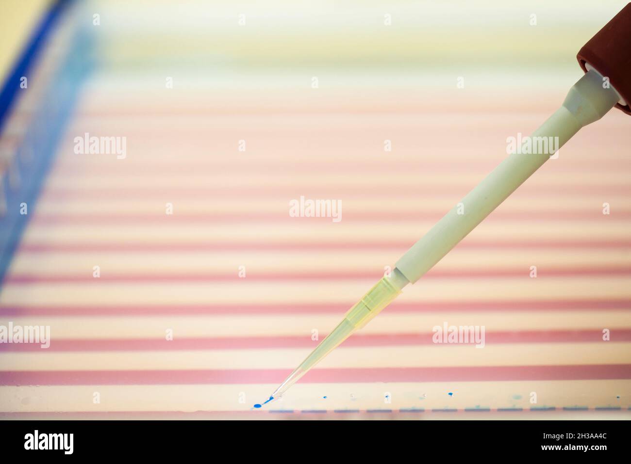 Production line pharmaceutical industry. Manufacturing of drugs and ...