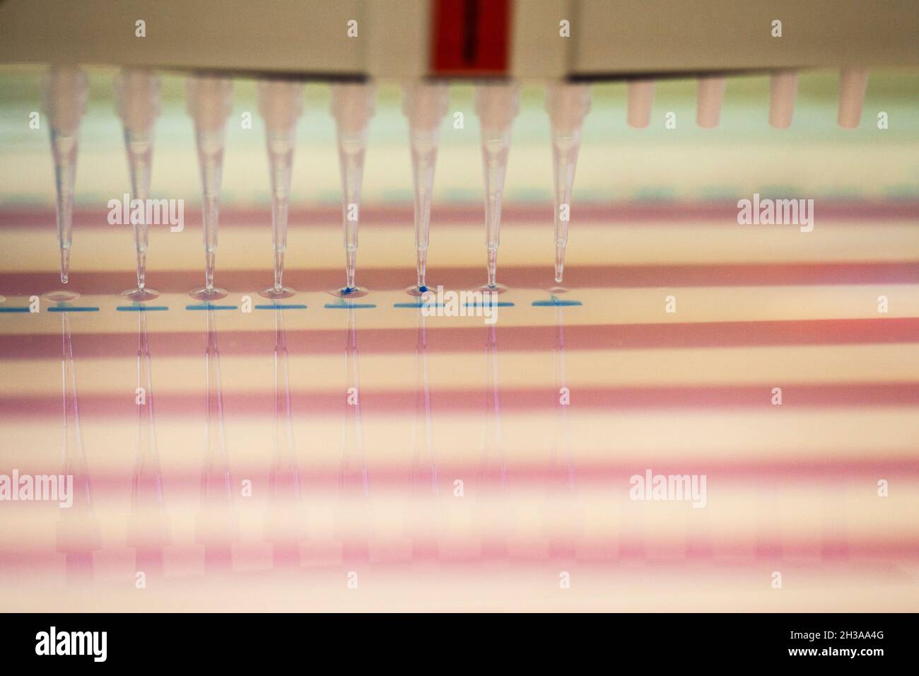 Production line pharmaceutical industry. Manufacturing of drugs and ...