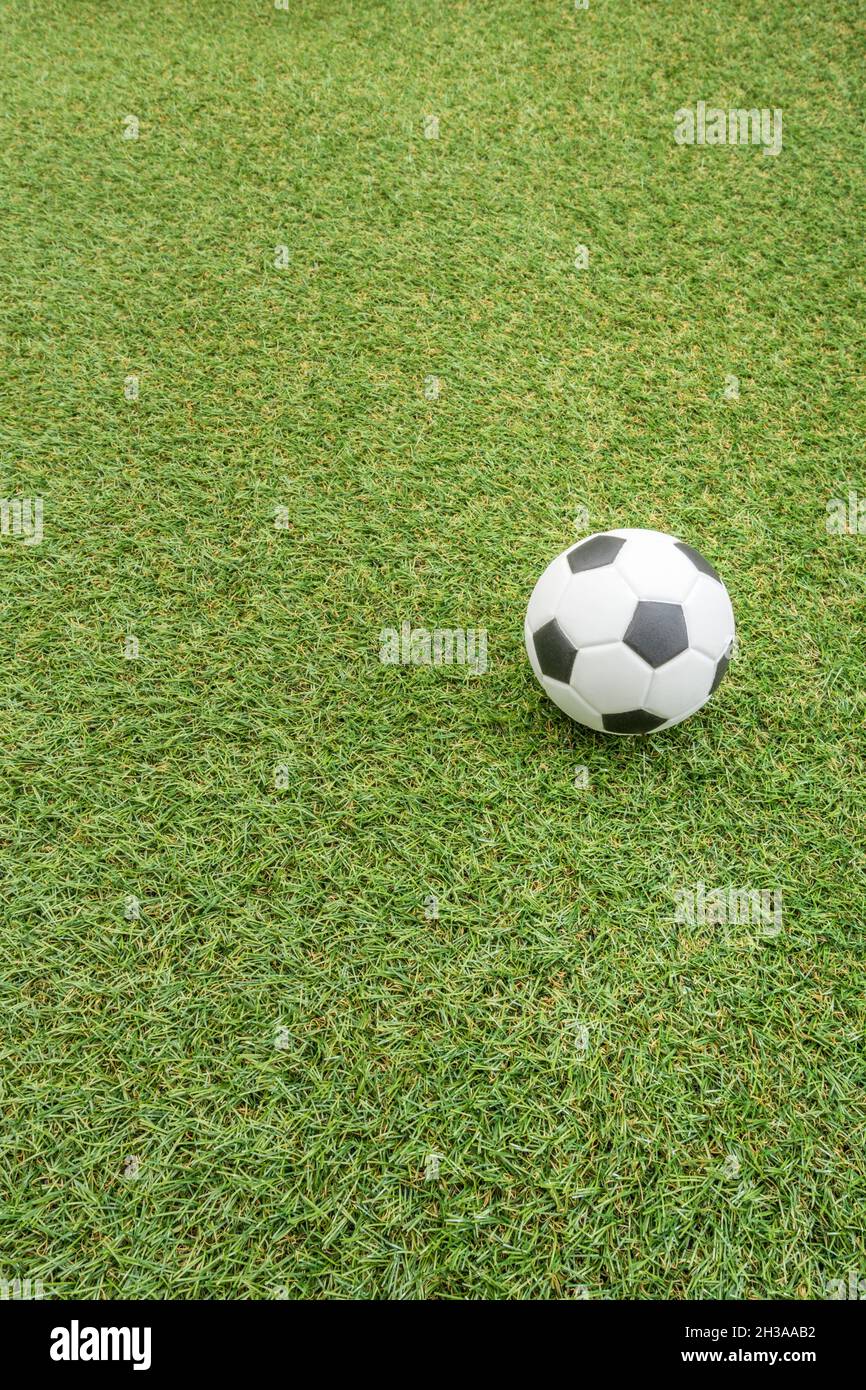 Kid's small toy plastic soccer ball (Made in China) on fake plastic ...