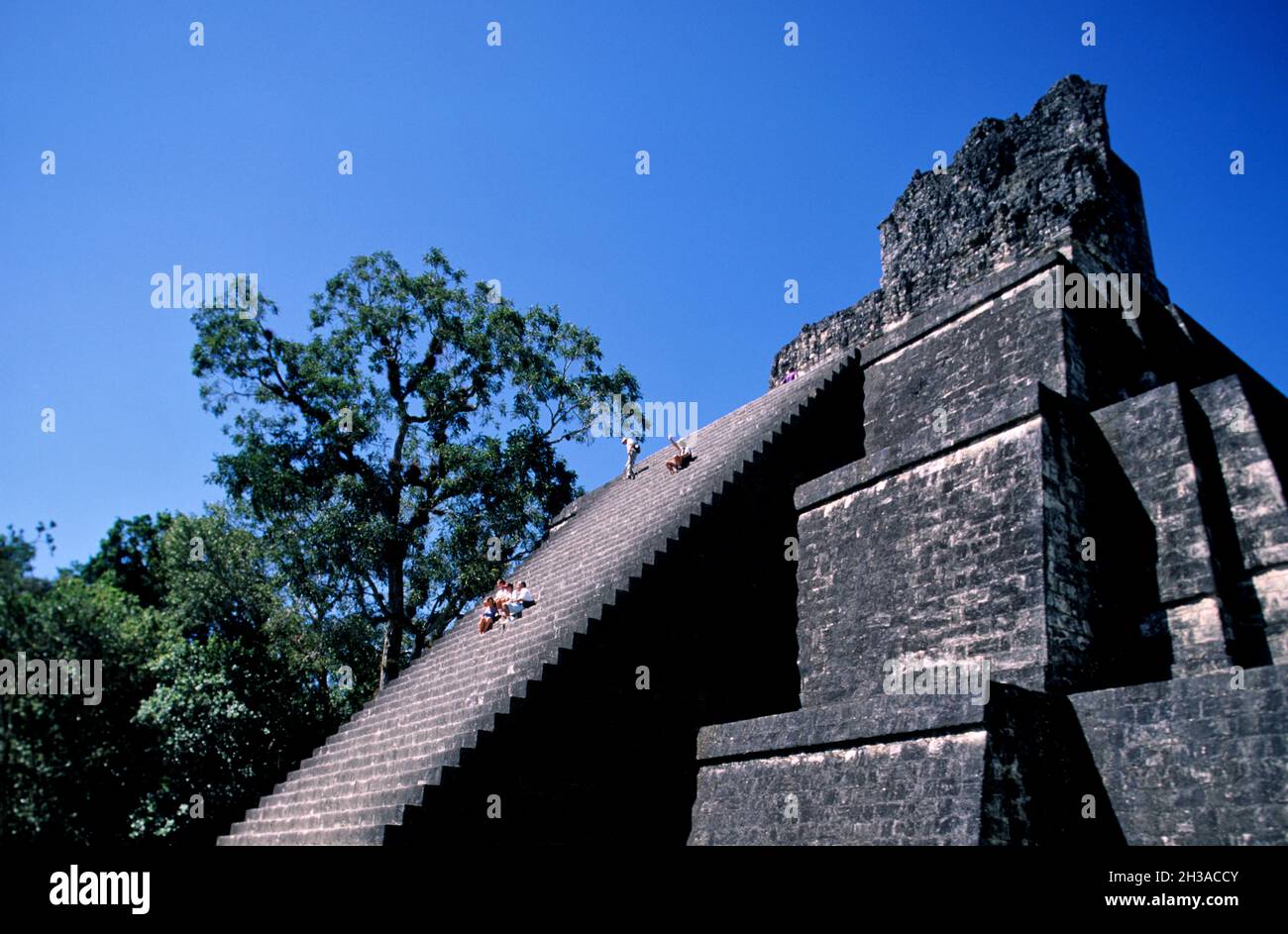 GUATEMALA. PETEN REGION. TIKAL ARCHAEOLOGICAL SITE. BIG SQUARE PYRAMID ...