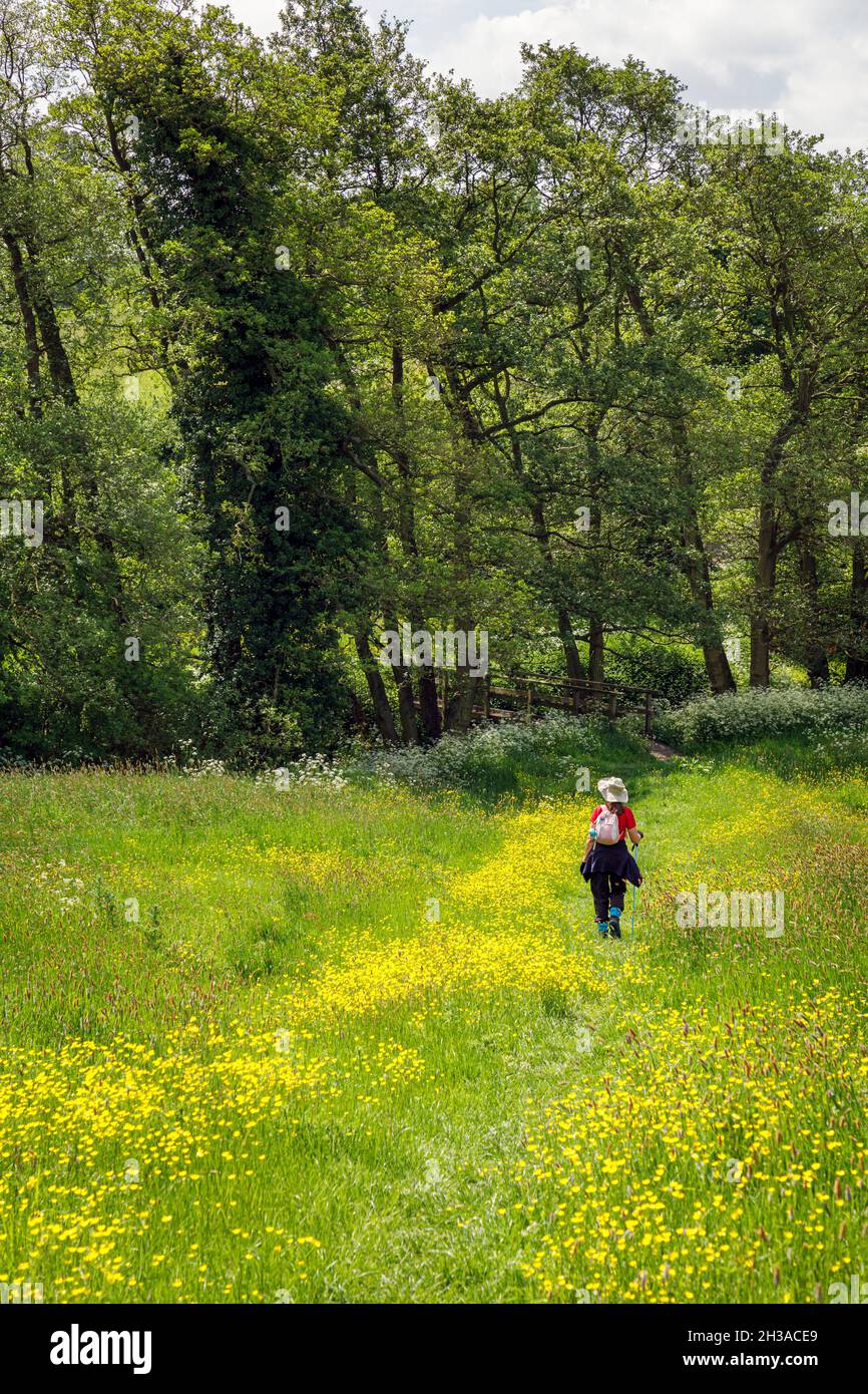 Furze hill nature reserve hi-res stock photography and images - Alamy