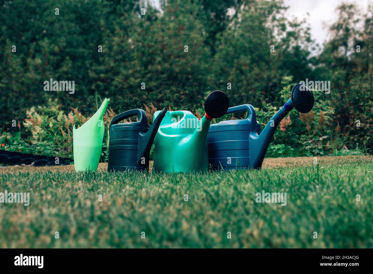 Garden equipment. Watering cans different sizes, colors Stock Photo - Alamy