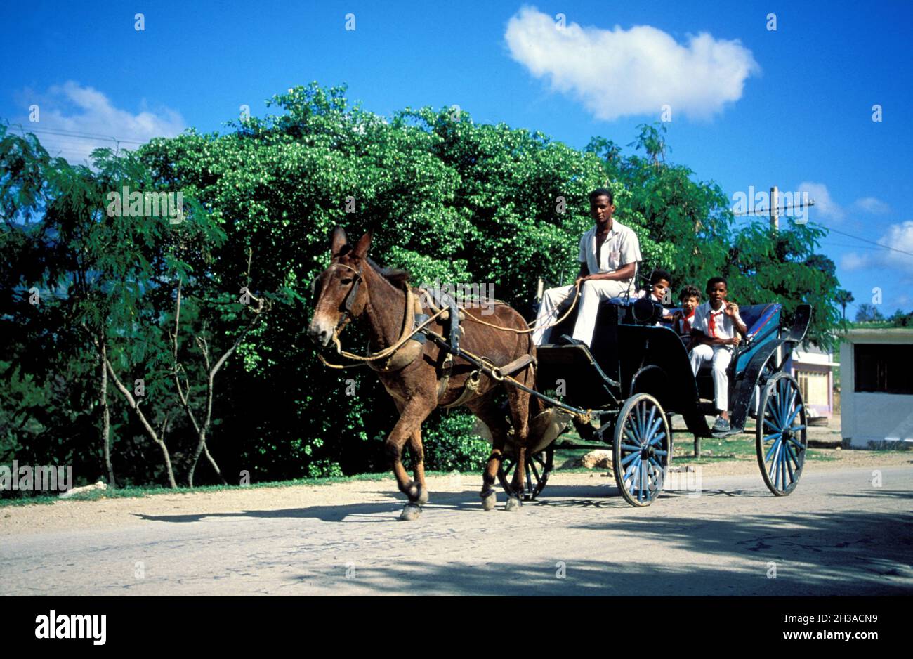 Baconao hi-res stock photography and images - Alamy