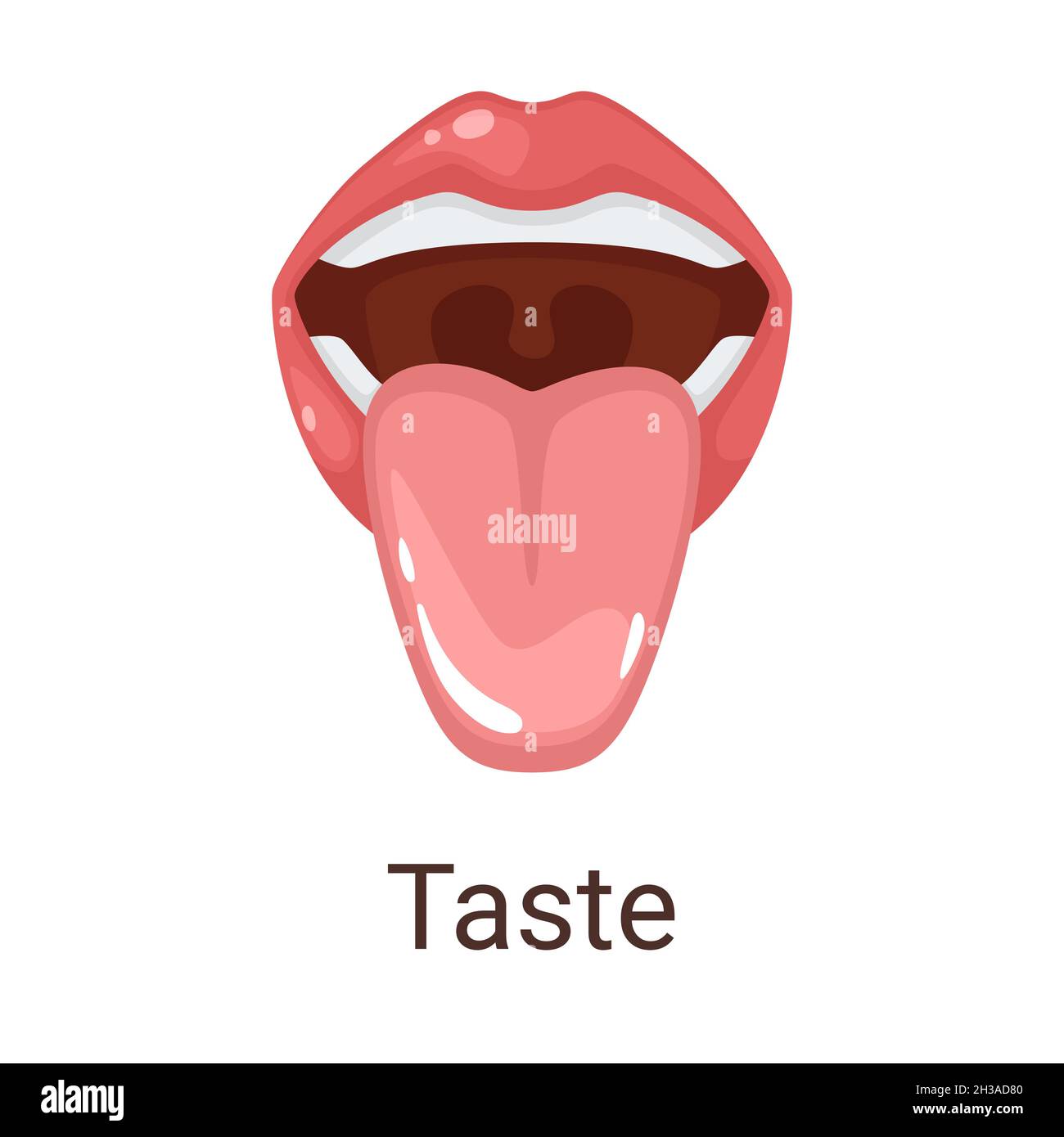 Vector illustration one of five senses - taste Stock Vector Image & Art ...