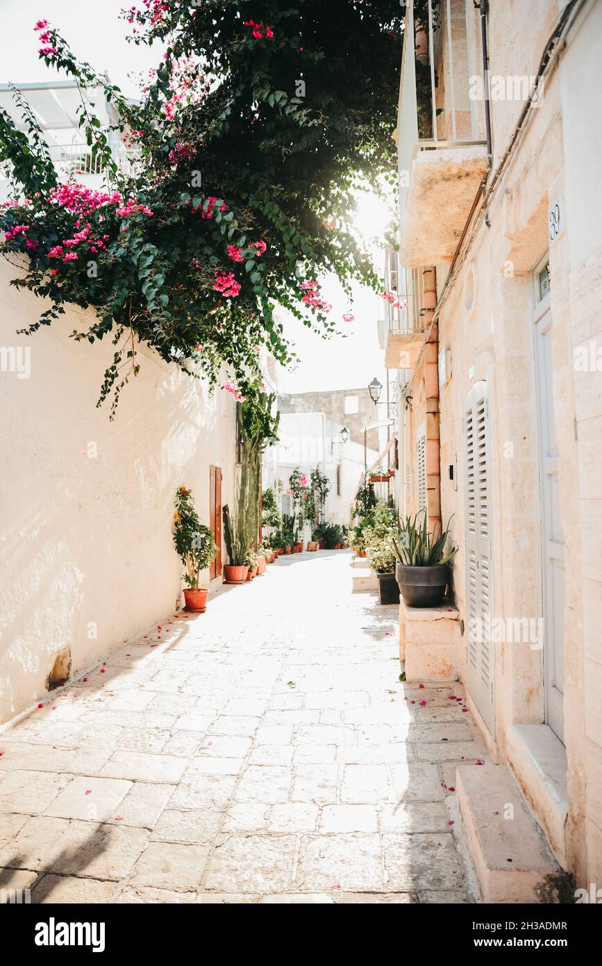 Narrow alley between old buildings in Italy Stock Photo - Alamy