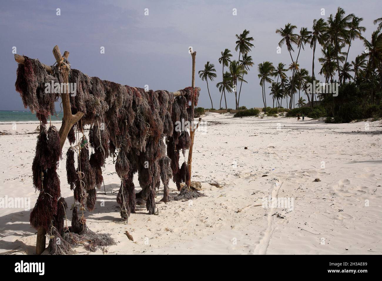 Zanzibar archipelago hi-res stock photography and images - Alamy