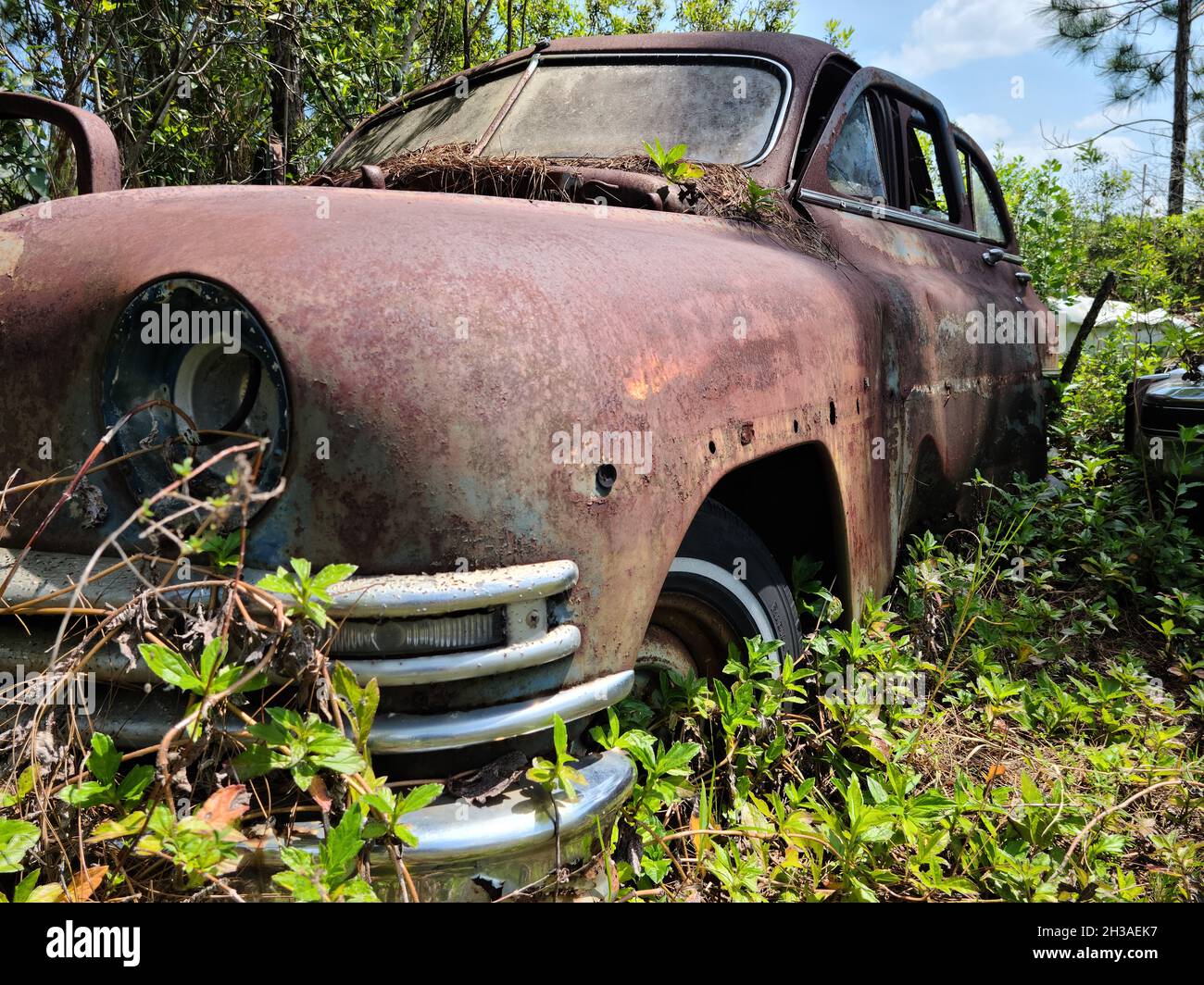 Old Rusted Car Antique car in junkyard field Stock Photo - Alamy