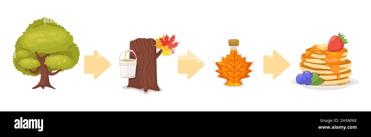 Vector cartoon illustration of producing maple syrup Stock Vector Image ...
