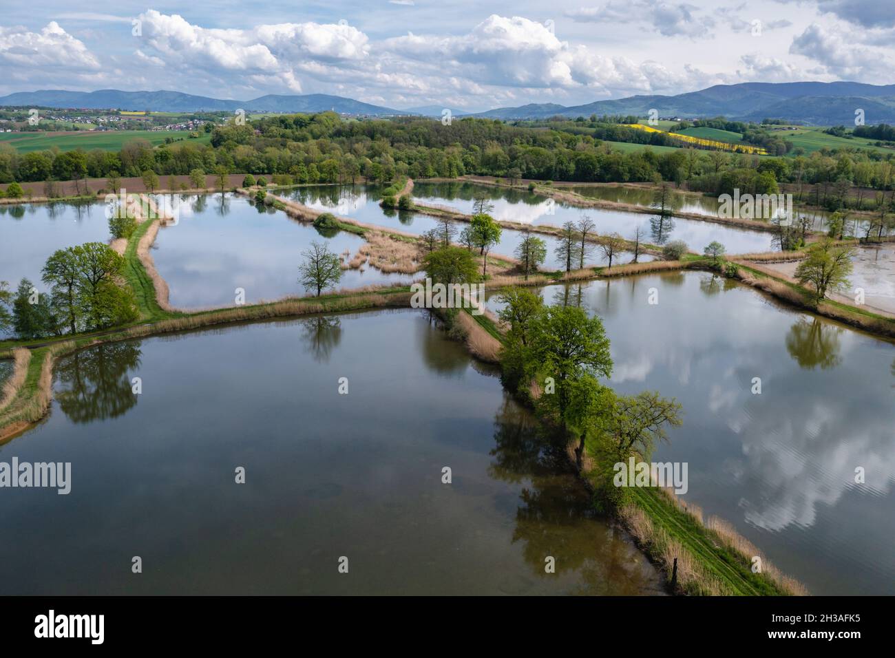 Aquaculture fish ponds hi-res stock photography and images - Alamy