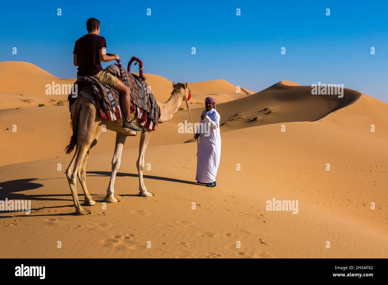 UNITED ARAB EMIRATES, ABU DHABI, AL AIN, REMAH, TELAL RESORT, CAMEL ...