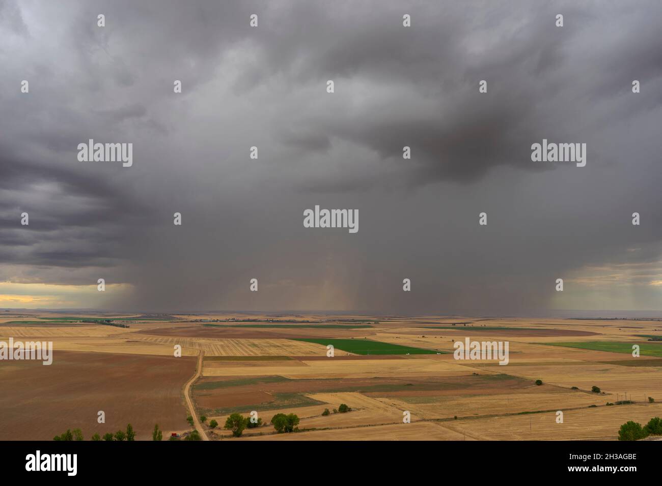 storm onset in a crop field Stock Photo - Alamy