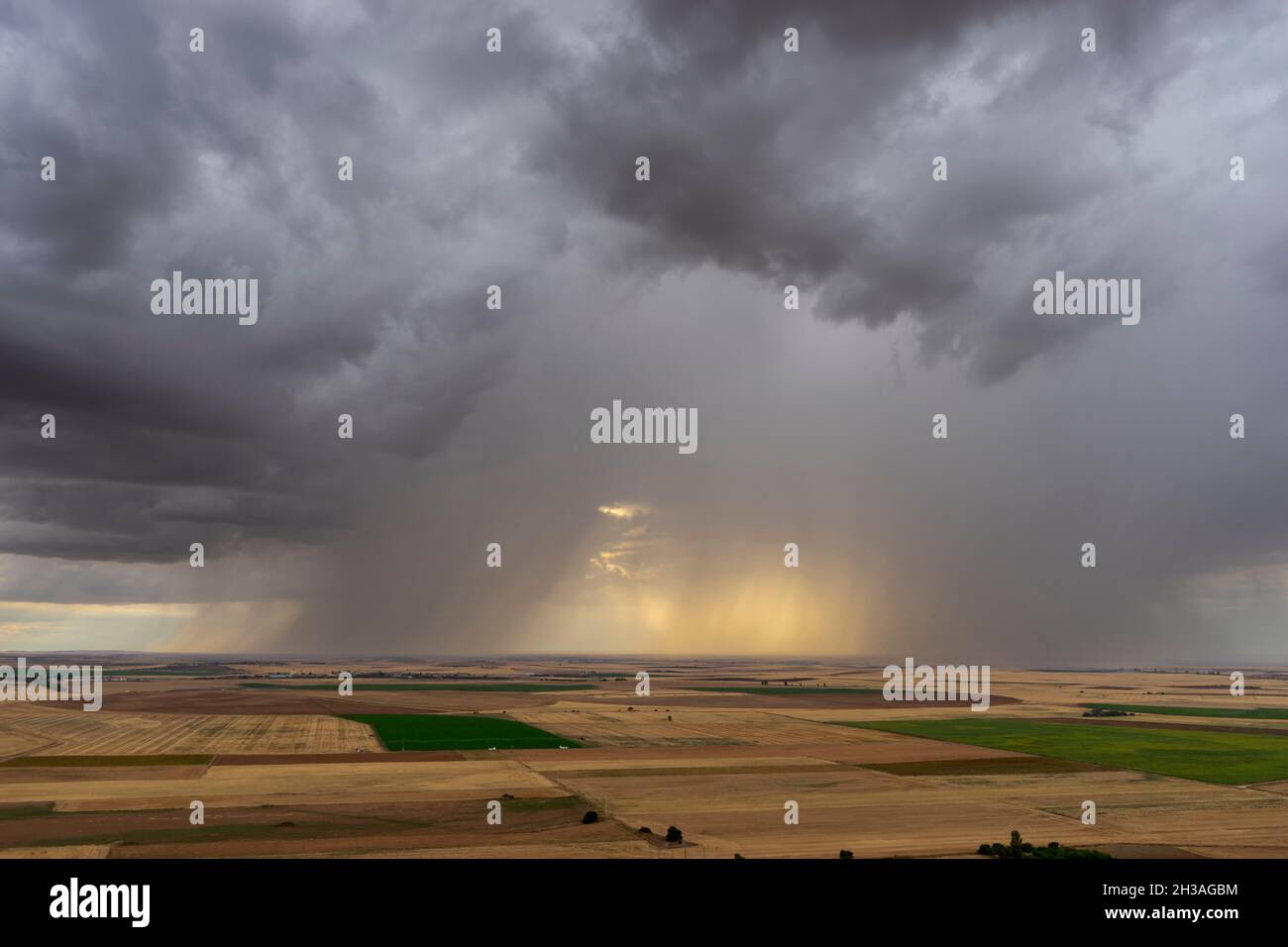 storm onset in a crop field Stock Photo - Alamy