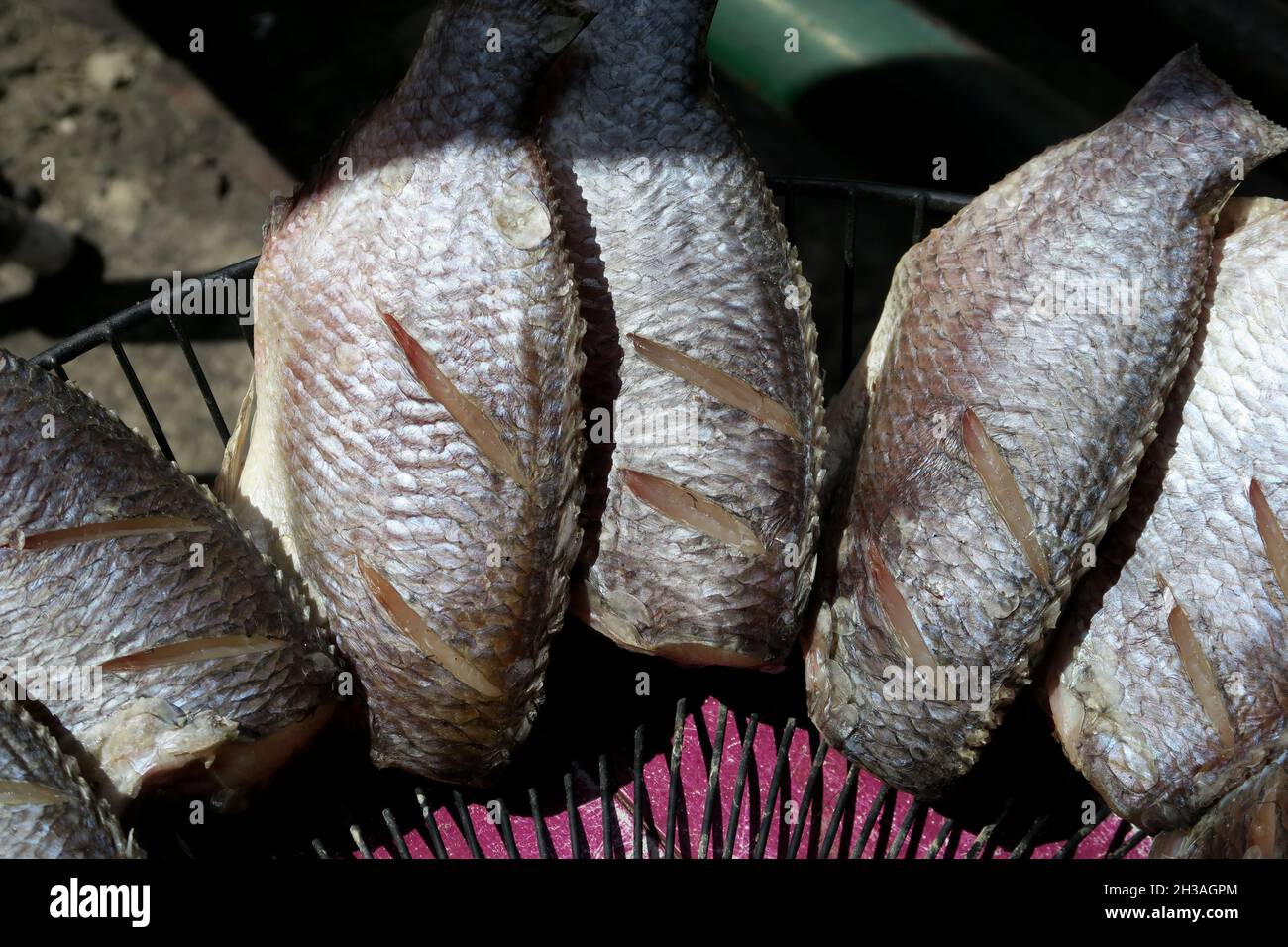 Fish drying outside in the sun, Bangkok, Thailand Stock Photo - Alamy