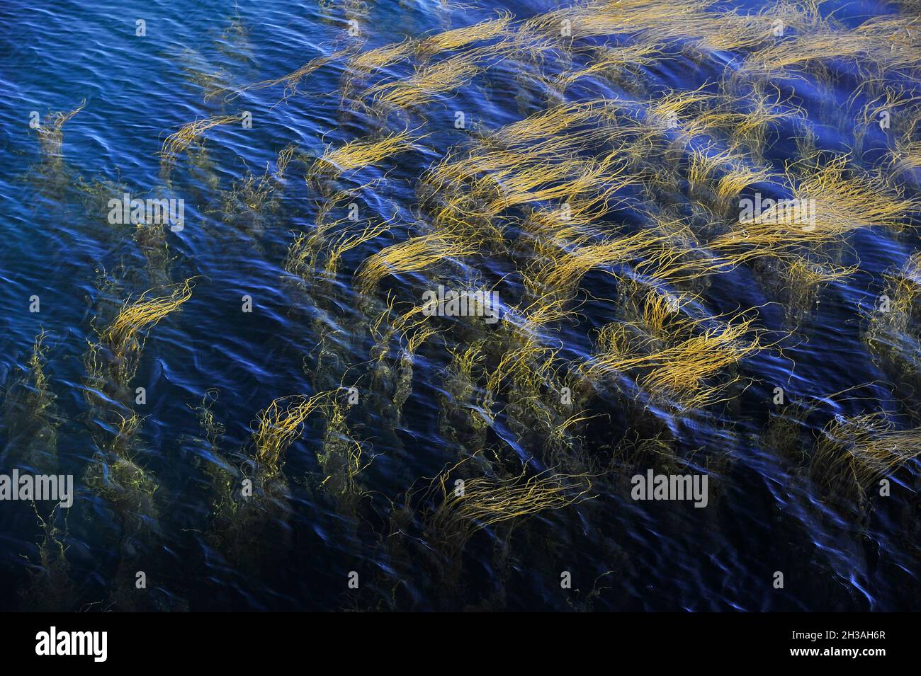 Molene islands hi-res stock photography and images - Alamy