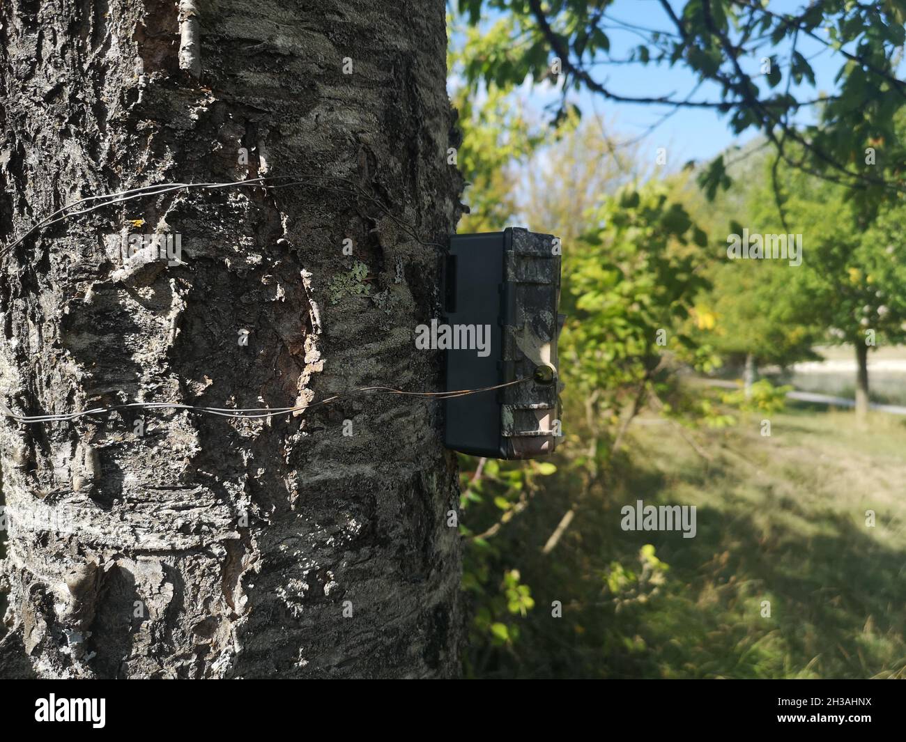 Camouflaged equipment hi-res stock photography and images - Alamy