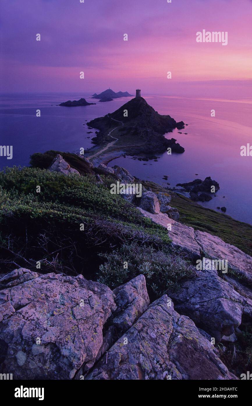 FRANCE. SOUTH CORSICA (2A) SANGUINARY ISLAND (ILES SANGUINAIRES Stock ...